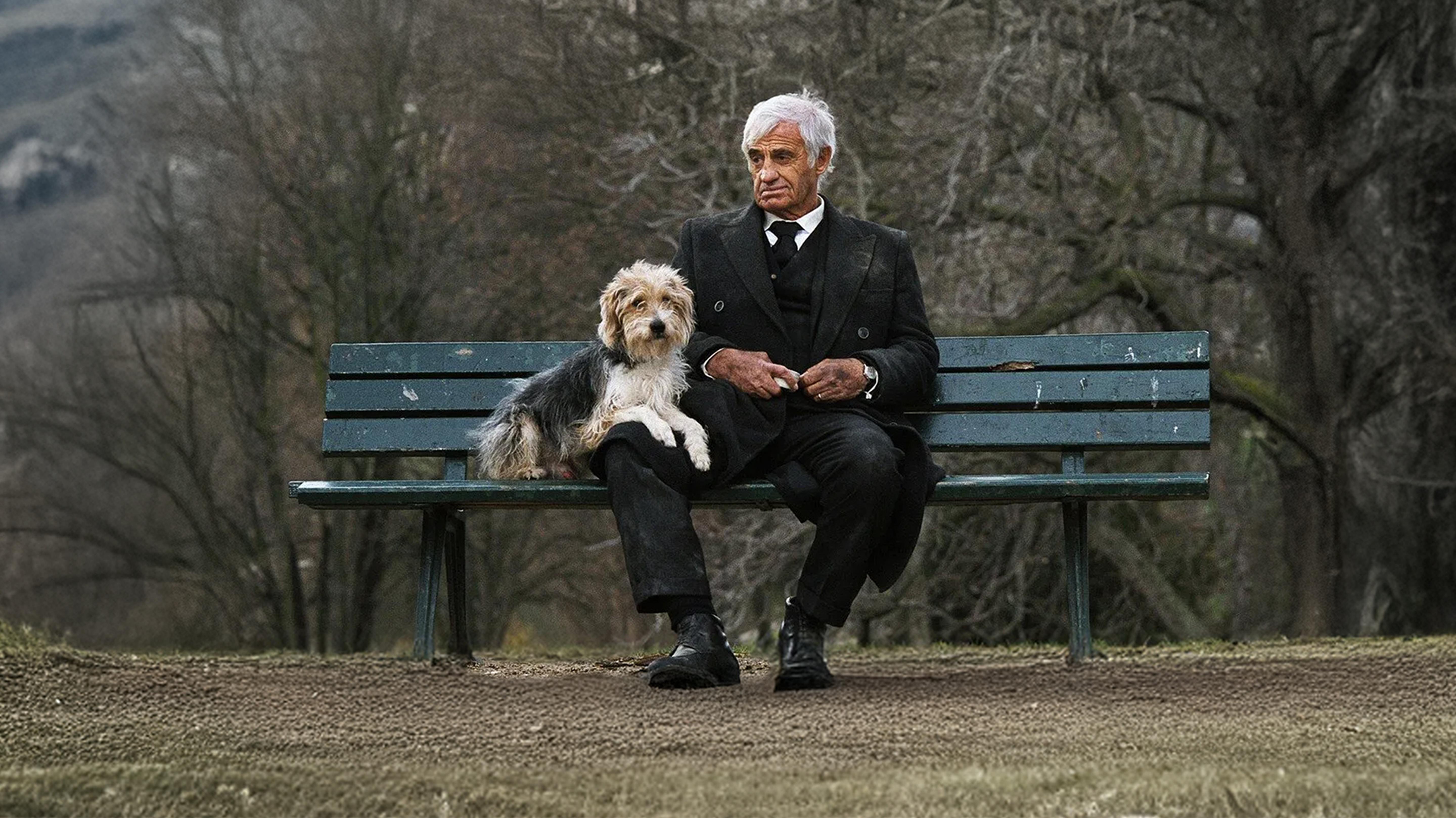 Homme Baise Son Chien